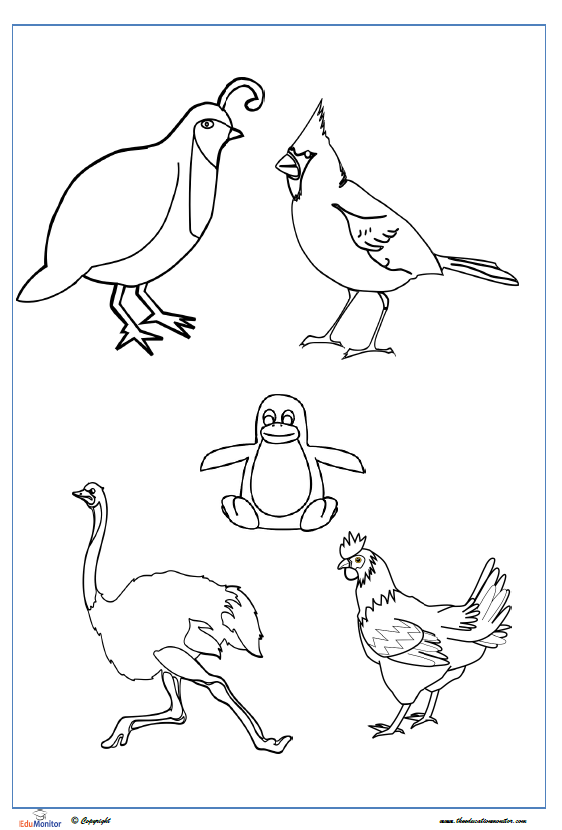Free Printable Coloring Pages Birds - EduMonitor | Science, Math ...