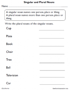 Grade 3 Singular and Plural Nouns Worksheet - EduMonitor | Science ...