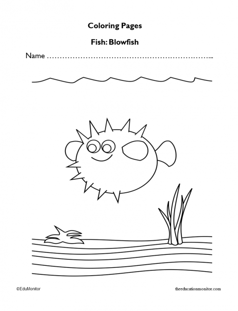 Blowfish Fish Coloring Pages | Preschool Worksheets - EduMonitor ...