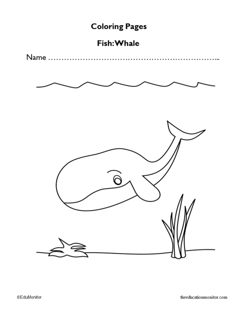 Pre-K Whale Fish Coloring Pages - EduMonitor | Science, Math, Language Arts