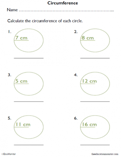 Finding the Circumference of Circles Worksheet - EduMonitor | Science ...