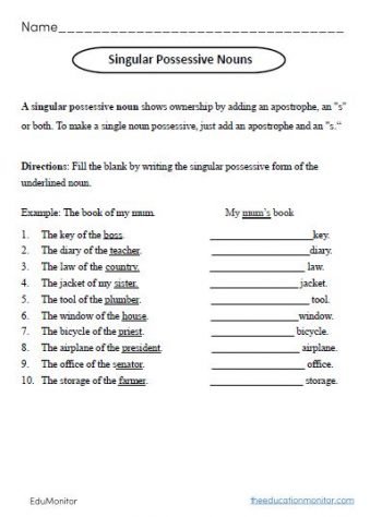 Singular Possessive Nouns Worksheets I EduMonitor - EduMonitor ...