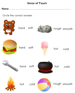 Sense of Touch Science Worksheets for Kindergarten - EduMonitor ...