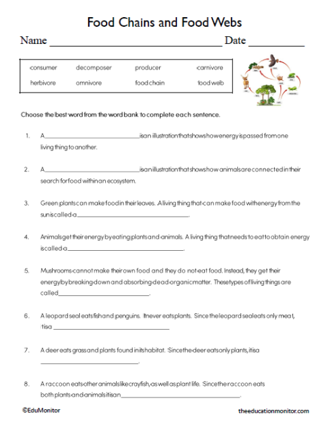 Food Chains and Food Webs Science Worksheets for Eight Grade ...