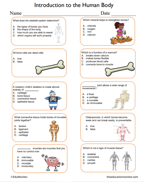 Introduction to the Human Body Science Worksheet for Eighth Grade ...