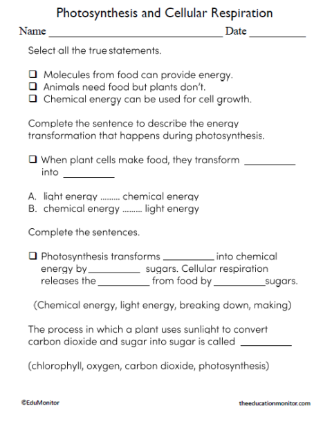 Photosynthesis and Cellular Respiration Worksheets - EduMonitor ...