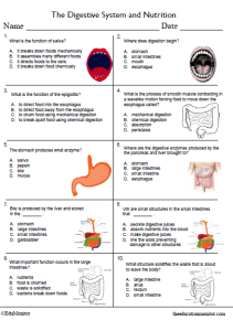 The Digestive System and Nutrition Science Worksheet for Eighth Grade ...