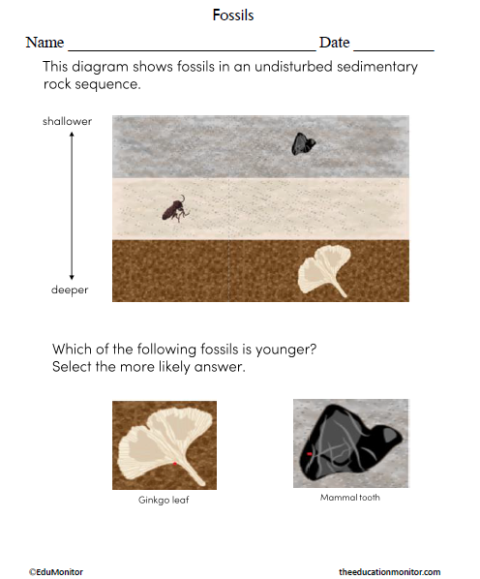 Fossils Science Worksheet for Grade Eighth - EduMonitor | Science, Math ...