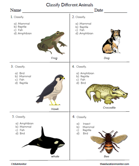 Classify Different Animals Science Worksheet for Grade 6 - EduMonitor ...
