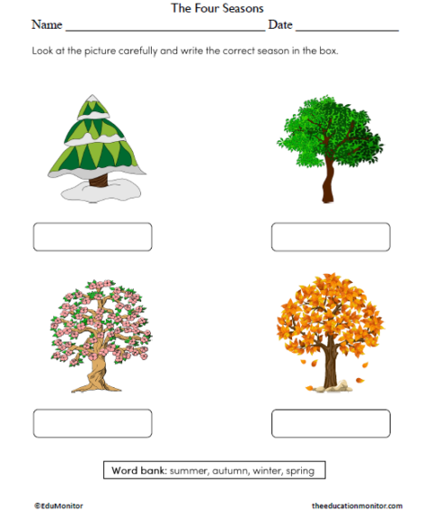 The Four Seasons Science Worksheet for Grade 3 - EduMonitor | Science ...