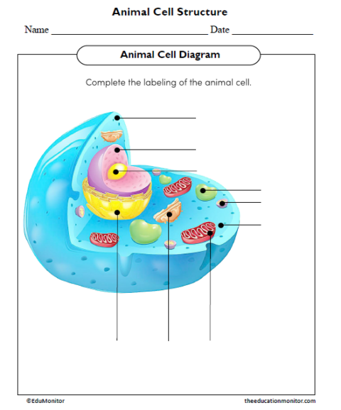 Animal Cell Structure Science Worksheet - EduMonitor | Science, Math ...