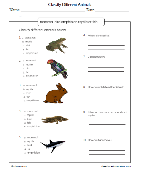 Classify Different Animals Science Worksheet - EduMonitor | Science ...