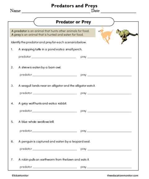 Predators and Preys Science Worksheet - EduMonitor | Science, Math ...