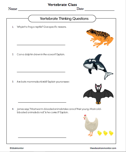 Vertebrate Class Science Worksheet - EduMonitor | Science, Math ...