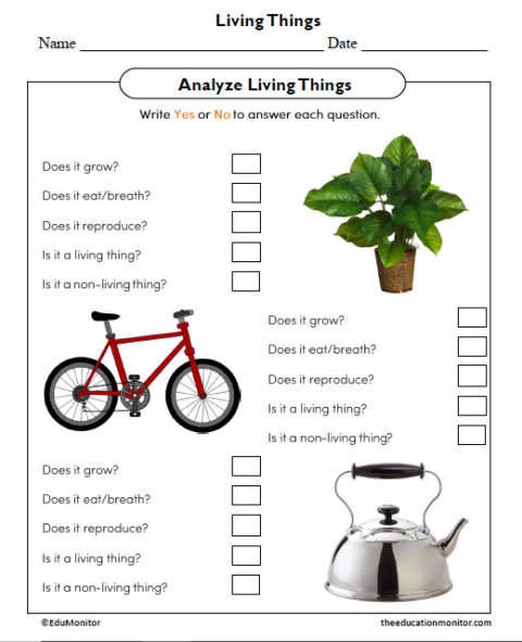 Analyze Living Things Science Worksheet - EduMonitor | Science, Math ...