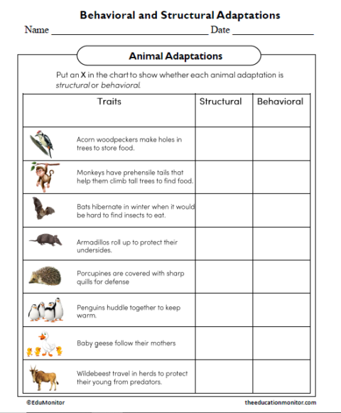Behavioral and Structural Adaptations Science Worksheet - EduMonitor ...