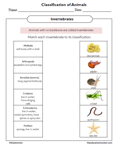 Classification of Animals Science Worksheet - EduMonitor | Science ...