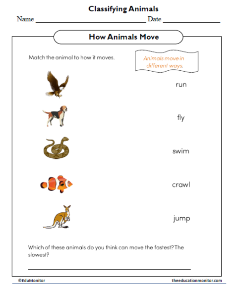 How Animals Move Worksheet - EduMonitor | Science, Math, Language Arts