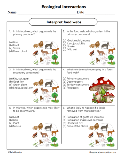 Ecological Interactions Science Worksheet - EduMonitor | Science, Math ...