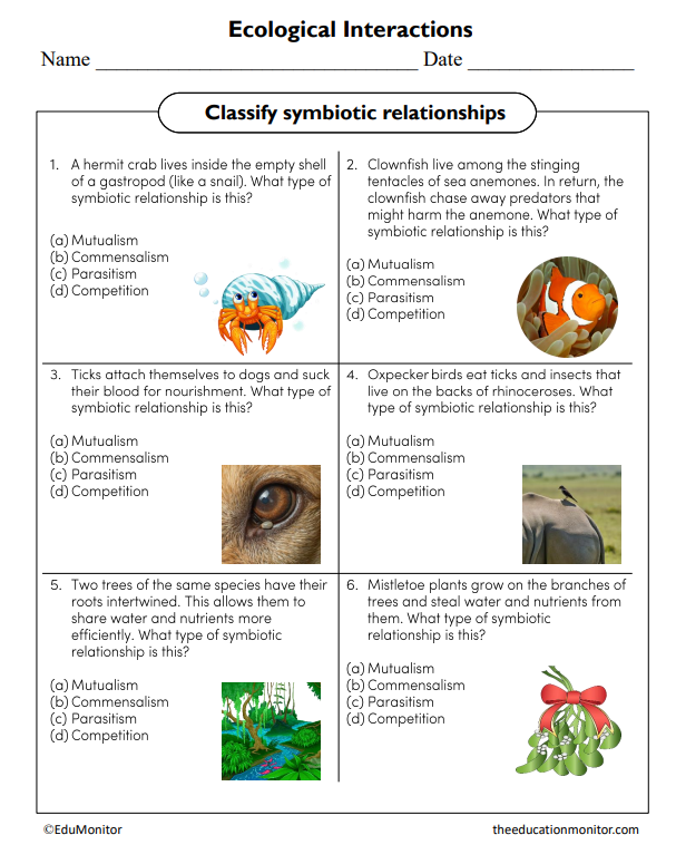 Ecological Interactions Science Worksheet - EduMonitor | Science, Math, Language Arts