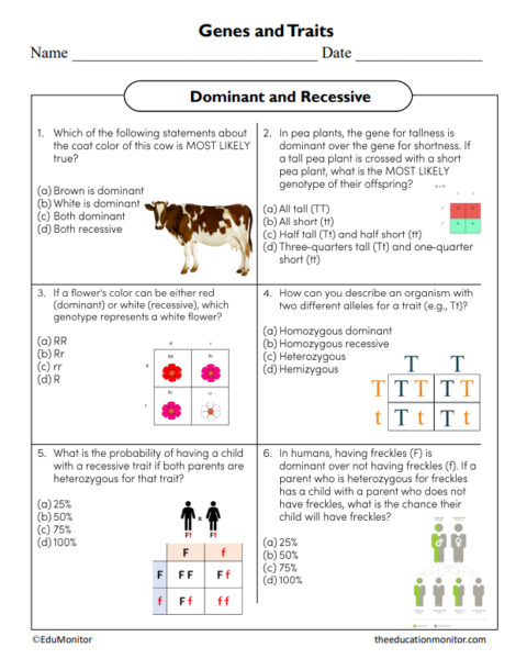 Dominant and Recessive Science Worksheet - EduMonitor | Science, Math ...