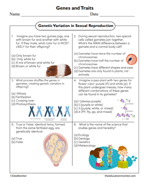 Genetic Variation in Sexual Reproduction Science Worksheet - EduMonitor ...