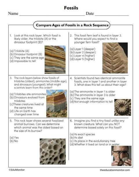 Compare Ages of Fossils in a Rock Sequence Science Worksheet ...