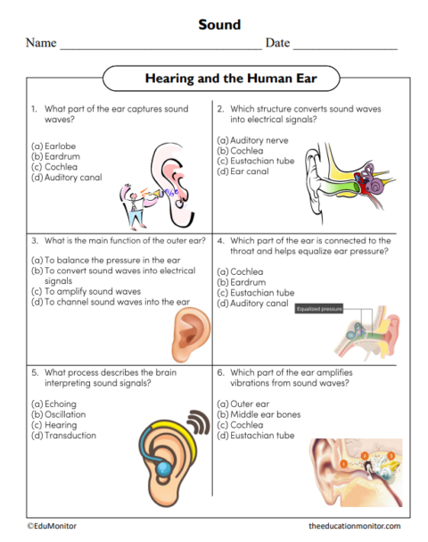 Hearing and the Human Ear Science Worksheet - EduMonitor | Science ...