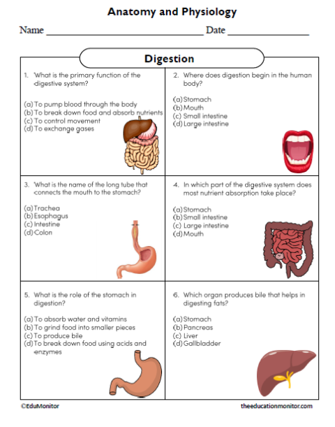 Digestion Science Worksheet for Grade 6 - EduMonitor | Science, Math ...