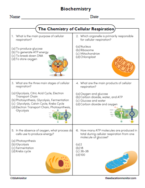 The Chemistry of Cellular Respiration Worksheet for Grade 8 ...