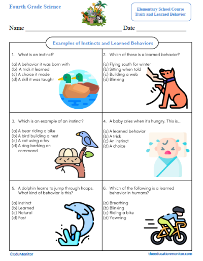 Examples of Instincts and Learned Behaviors Fourth Grade Science ...