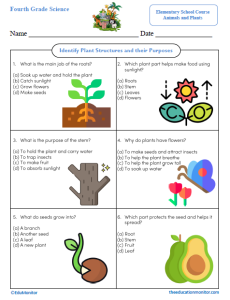 Identify Plant Structures and their Purposes Science Worksheet ...