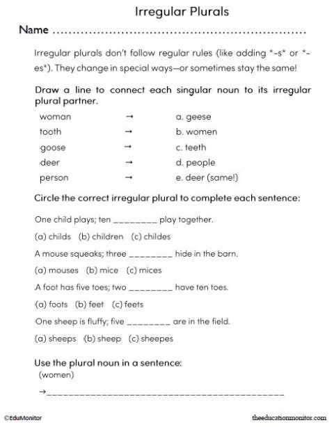 Irregular Plurals English Language Arts Worksheet for Grade 3 ...