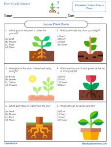 Learn Plant Parts First Grade Science Worksheet - EduMonitor | Science ...
