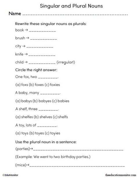 3rd Grade Singular and Plural Nouns English Language Arts Worksheet ...
