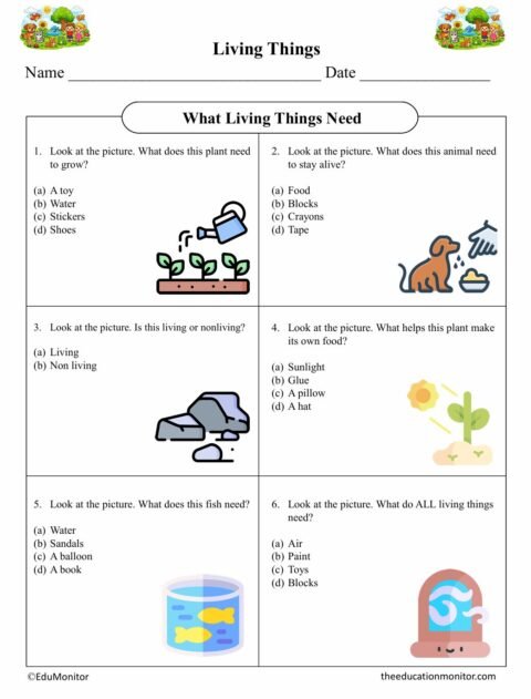 What Living Things Need Kindergarten Science Worksheet - EduMonitor ...